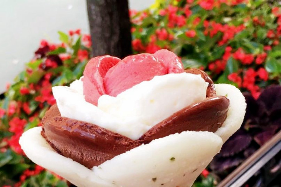 Amorino Gelato brings gelato and more to Plano | Hoodline